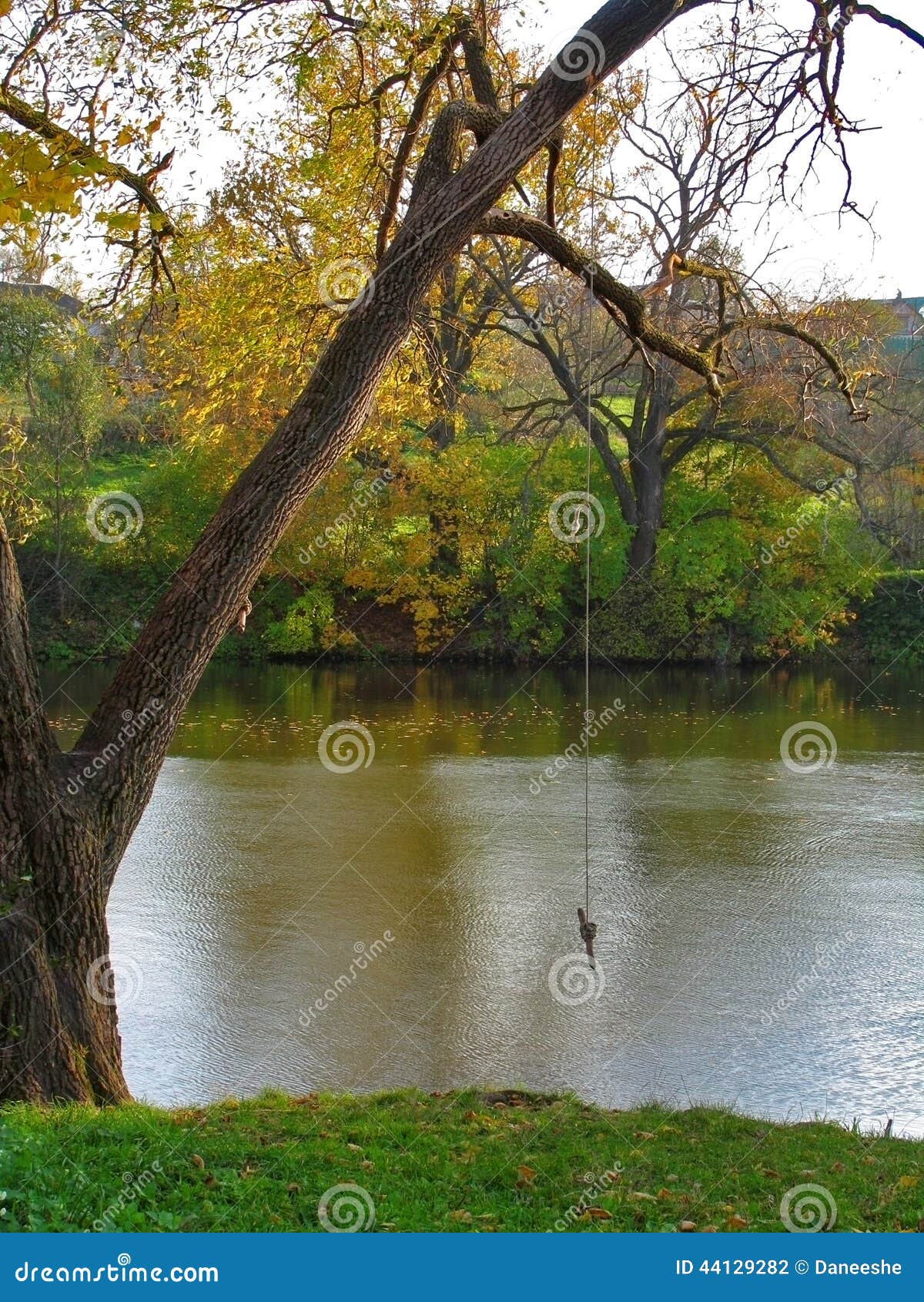 Bungee Jumping Over the Pond Stock Photo - Image of gold, branch: 44129282