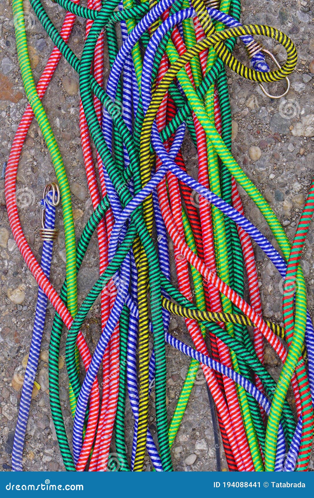 Bungee ropes stock image. Image of rubber, cord, coils - 194088441