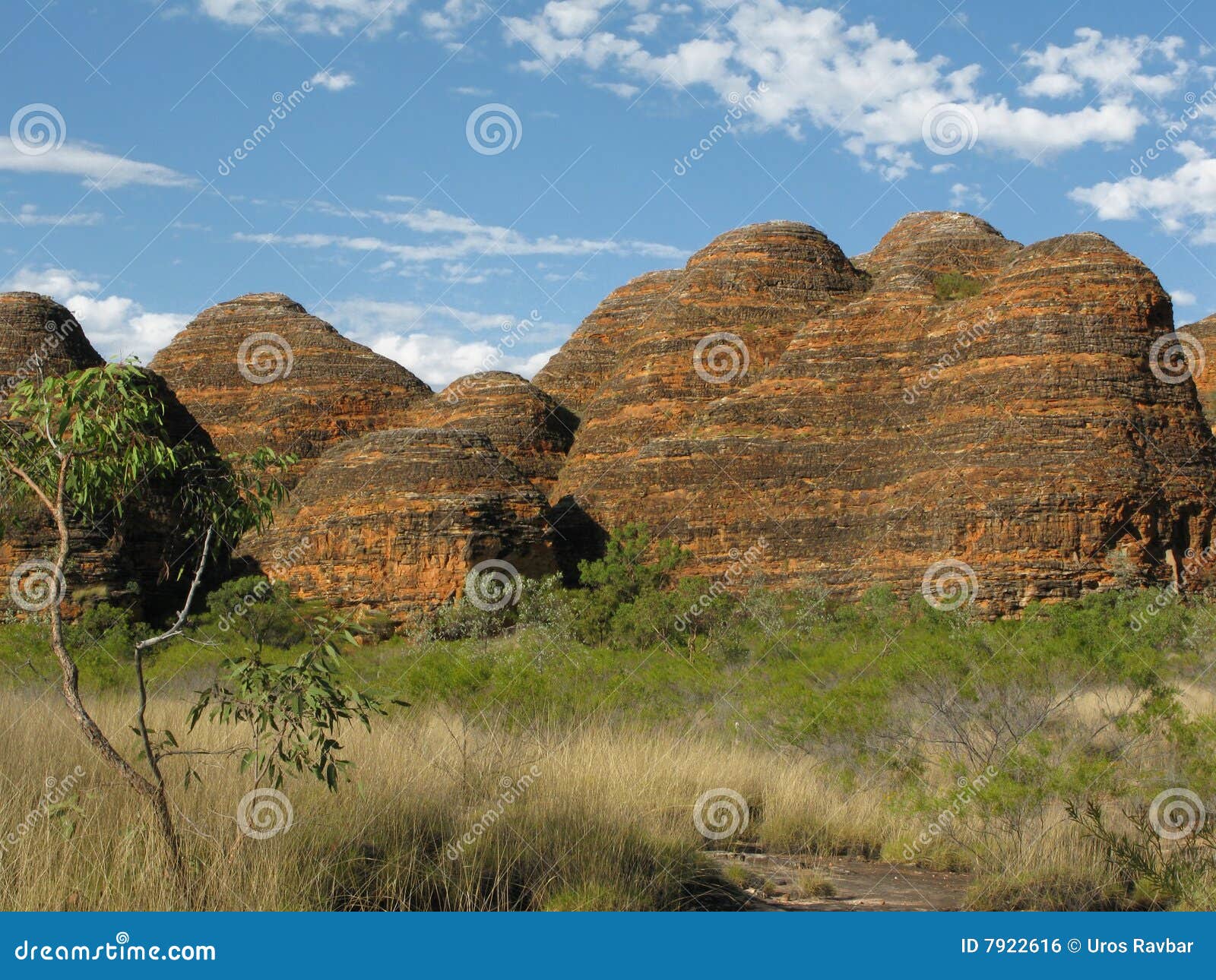 Bungle Bungle National Park Royalty-Free Stock Photo | CartoonDealer ...