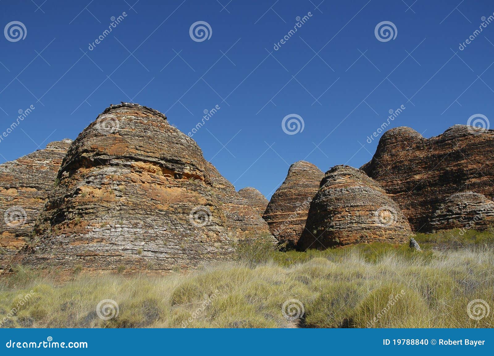 Bungle Bungles stock photo. Image of heritage, area, formation - 19788840