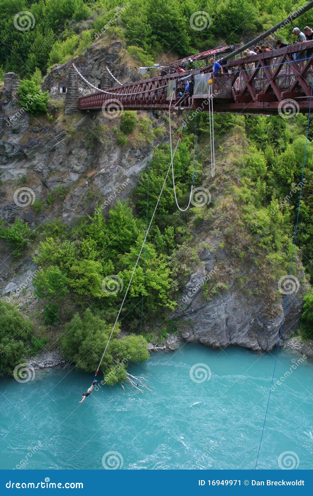 Bungy Die in Nieuw Zeeland Springt Redactionele Foto - Image of sporten ...