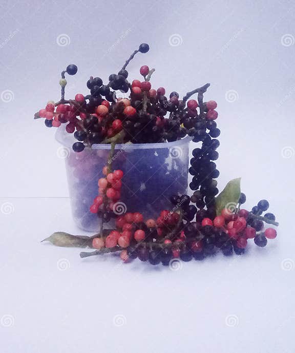 Buni fruit on the box stock photo. Image of flower, lilac - 185479638