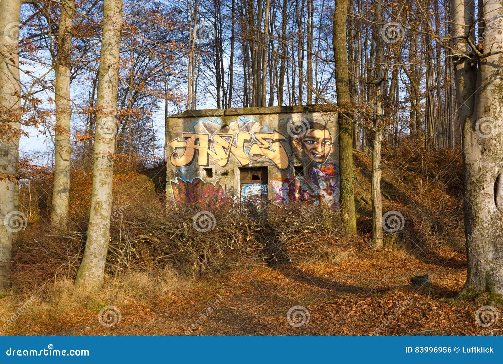 Bunker Forest Trees Graffiti Stock Photos - Free & Royalty-Free Stock ...