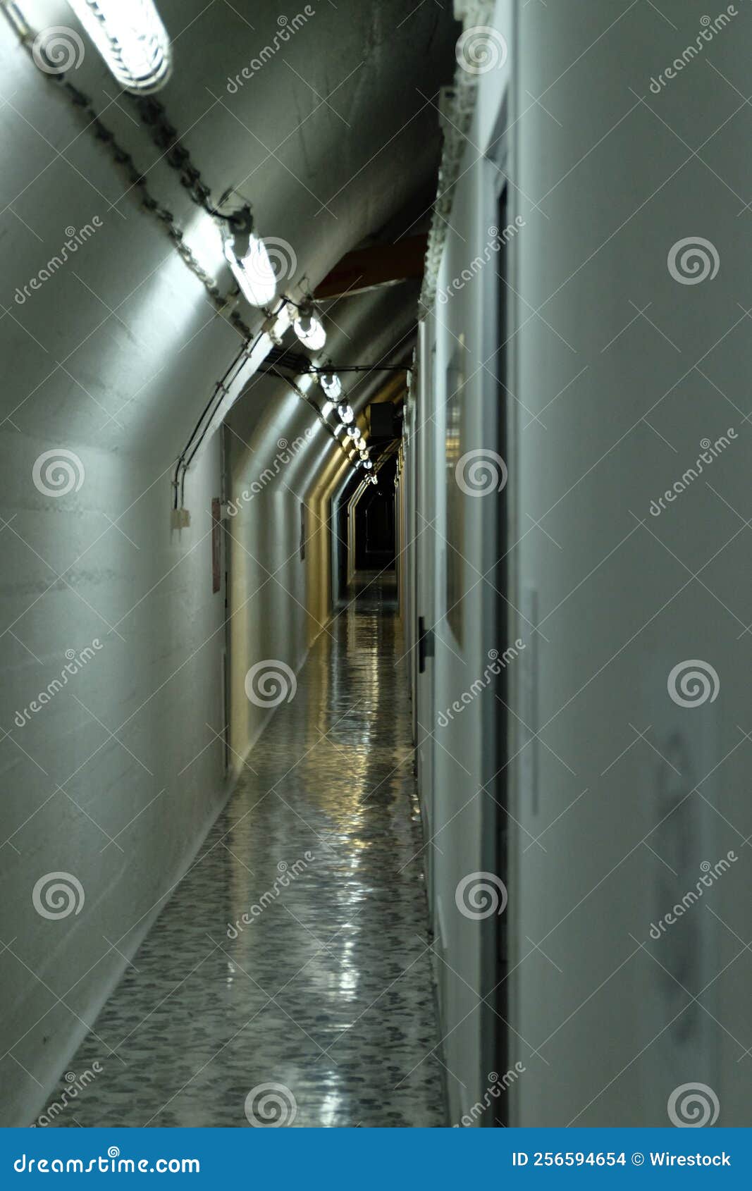 Bunker with Lights Reflecting on the Floor Stock Photo - Image of ...