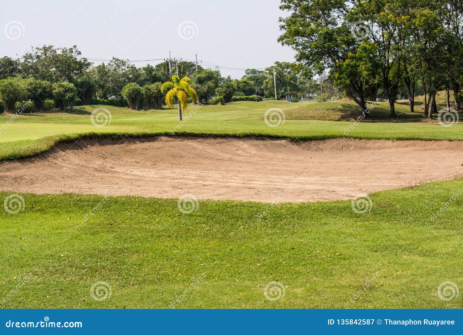 Bunker Obstacles in Golf Competition Stock Image - Image of plant ...