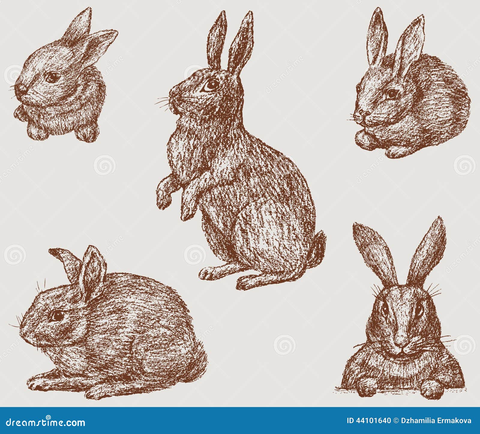 Bunnies stock vector. Illustration of eared, animals - 44101640