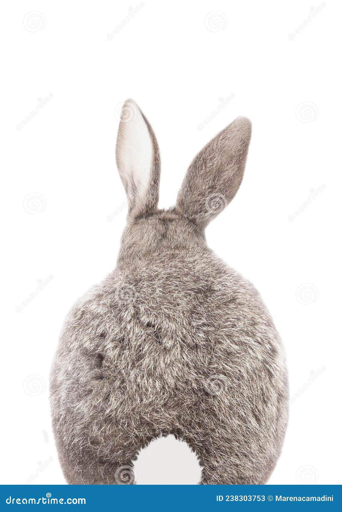 A3 Bunny Backside Nordic 29.7 X 42 Cm Stock Image - Image of eastern ...