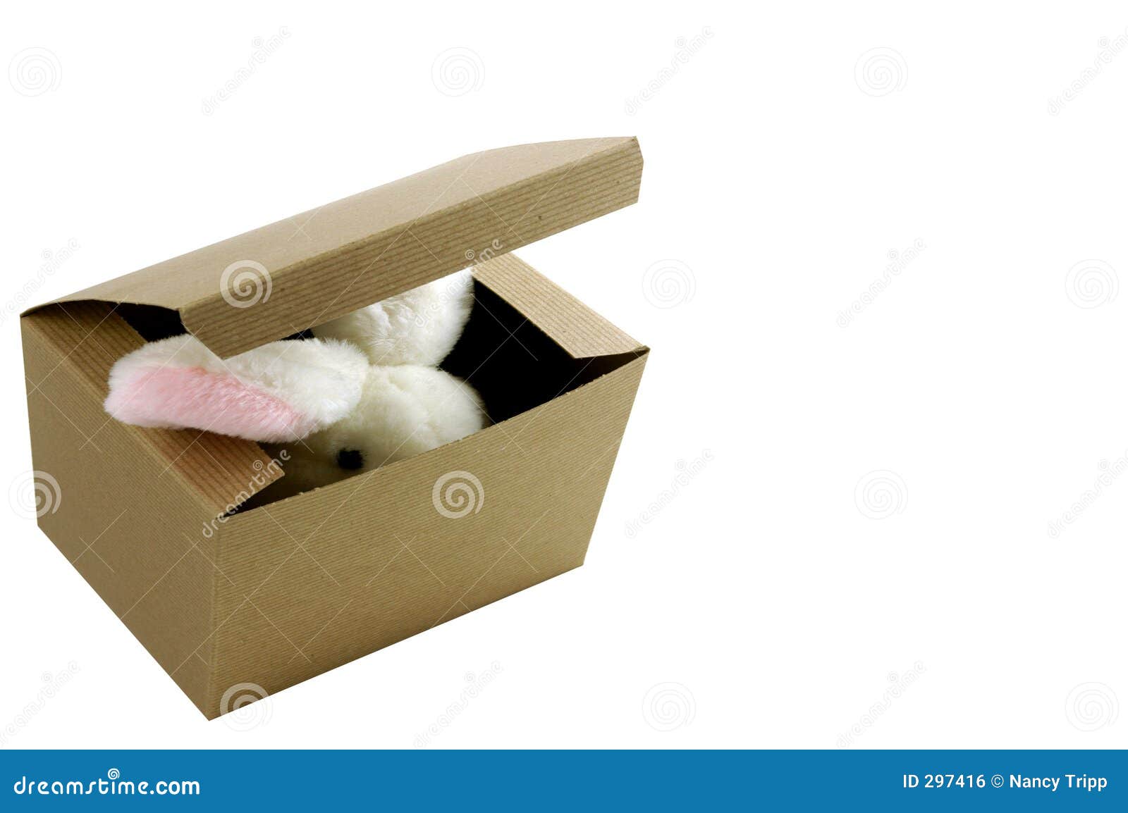 Bunny in box stock photo. Image of present, give, paper - 297416
