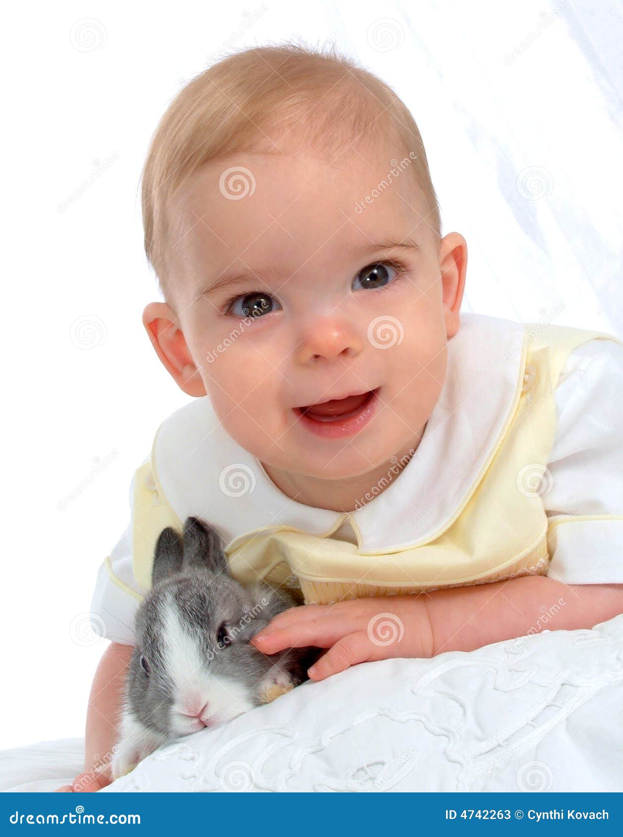 Bunny with Boy stock image. Image of clothing, pets, expression - 4742263