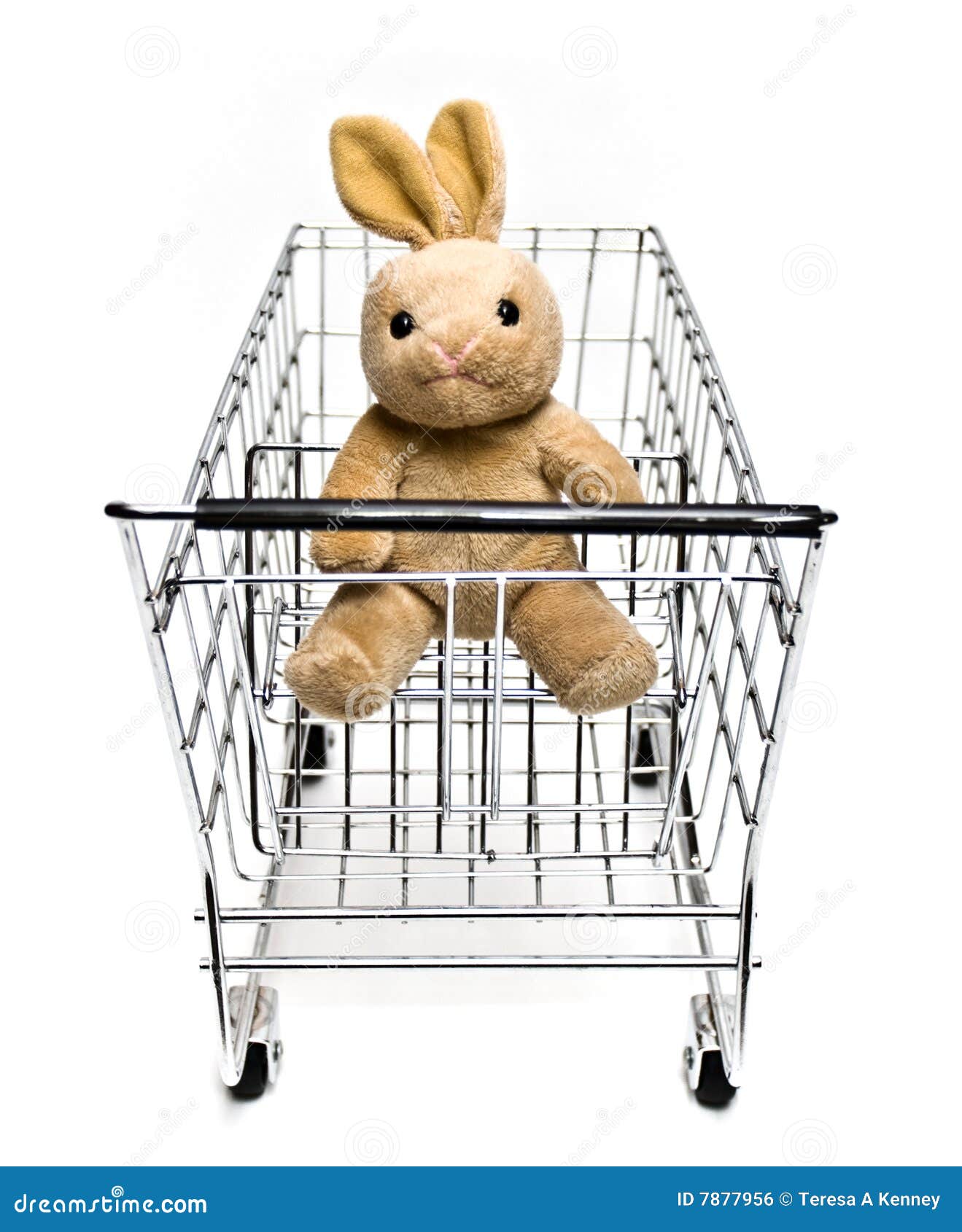 Bunny in Cart stock photo. Image of isolated, coloured - 7877956