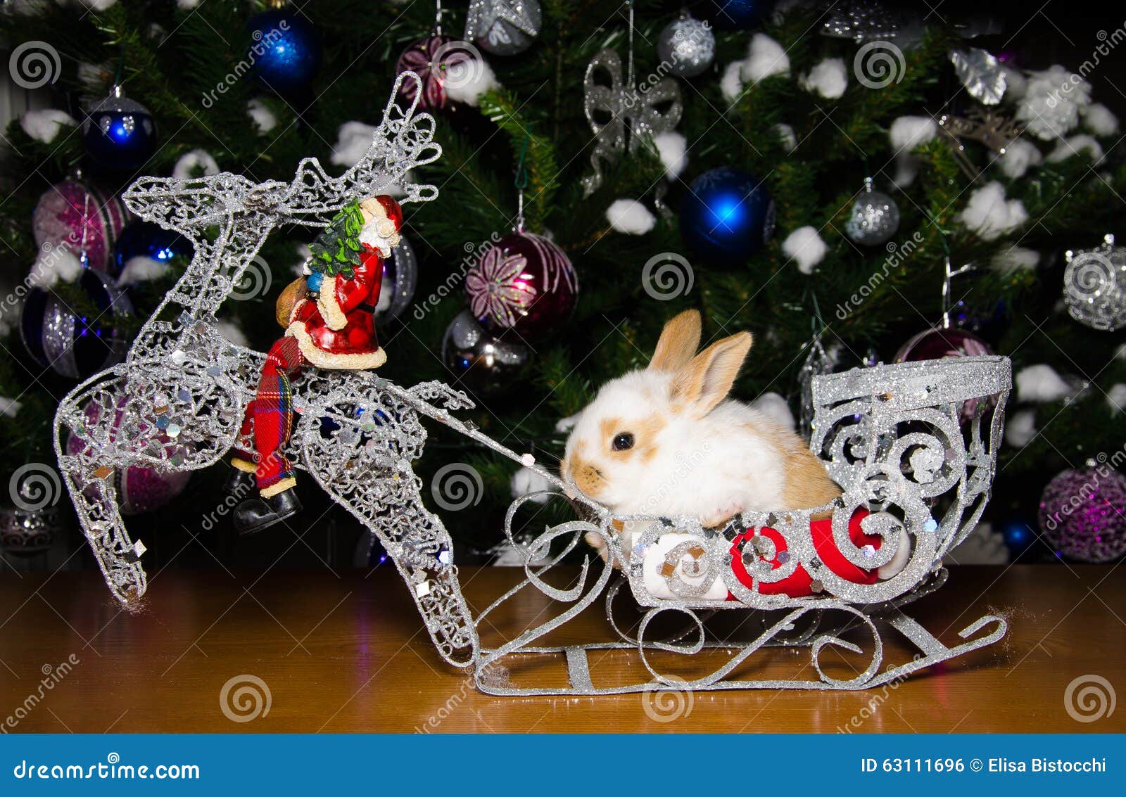 Bunny on christmas sled stock photo. Image of decorations - 63111696