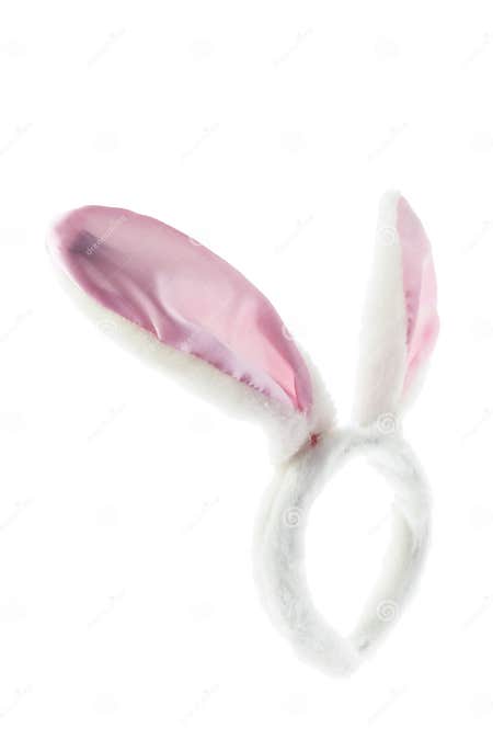 Bunny Ears stock photo. Image of isolated, life, background - 4532874