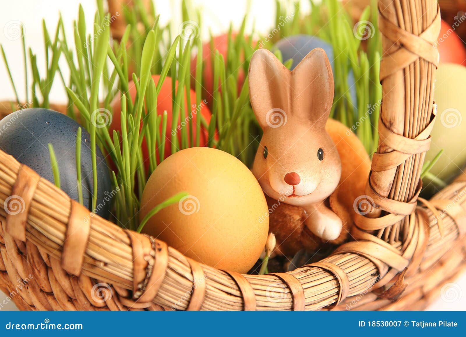 Bunny and egg stock image. Image of plant, april, easter - 18530007