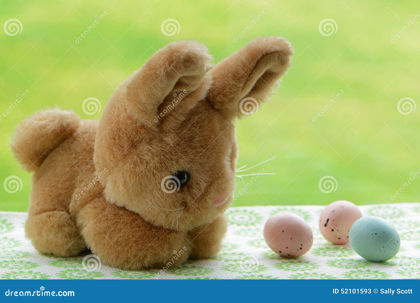 Bunny with eggs stock image. Image of idea, season, green - 52101593