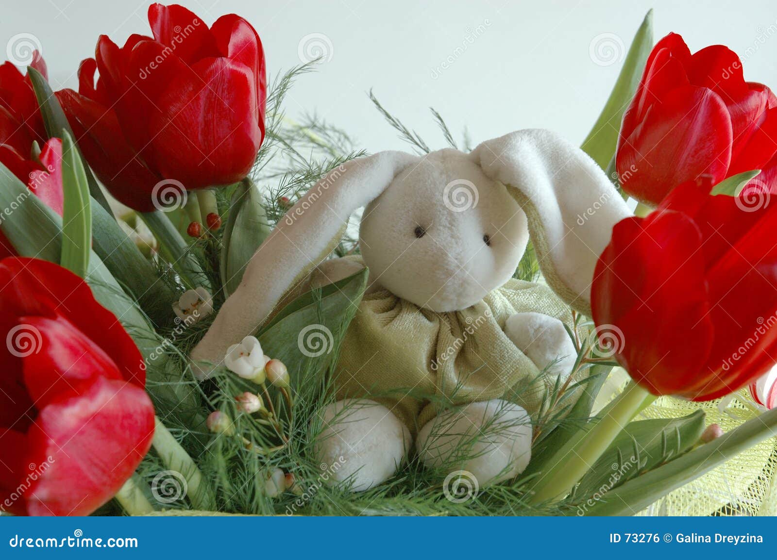 Bunny in flowers stock photo. Image of animal, springtime - 73276