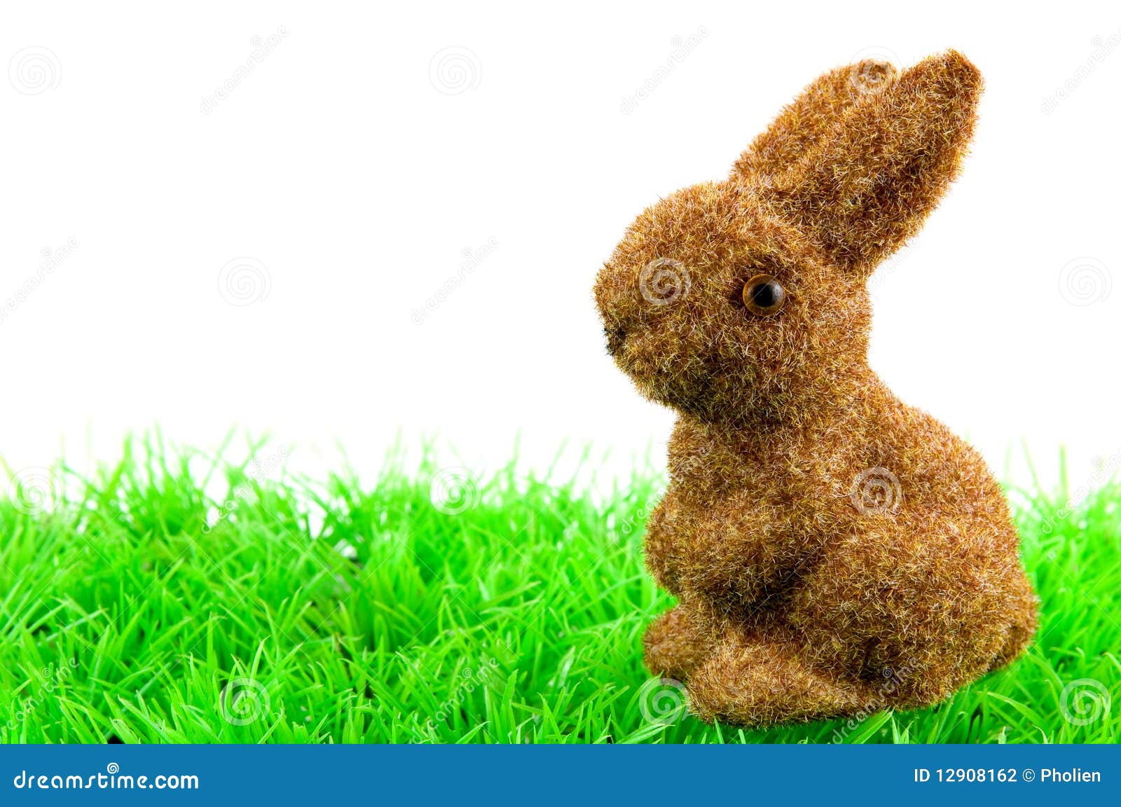 Bunny at green grass stock photo. Image of natural, background - 12908162