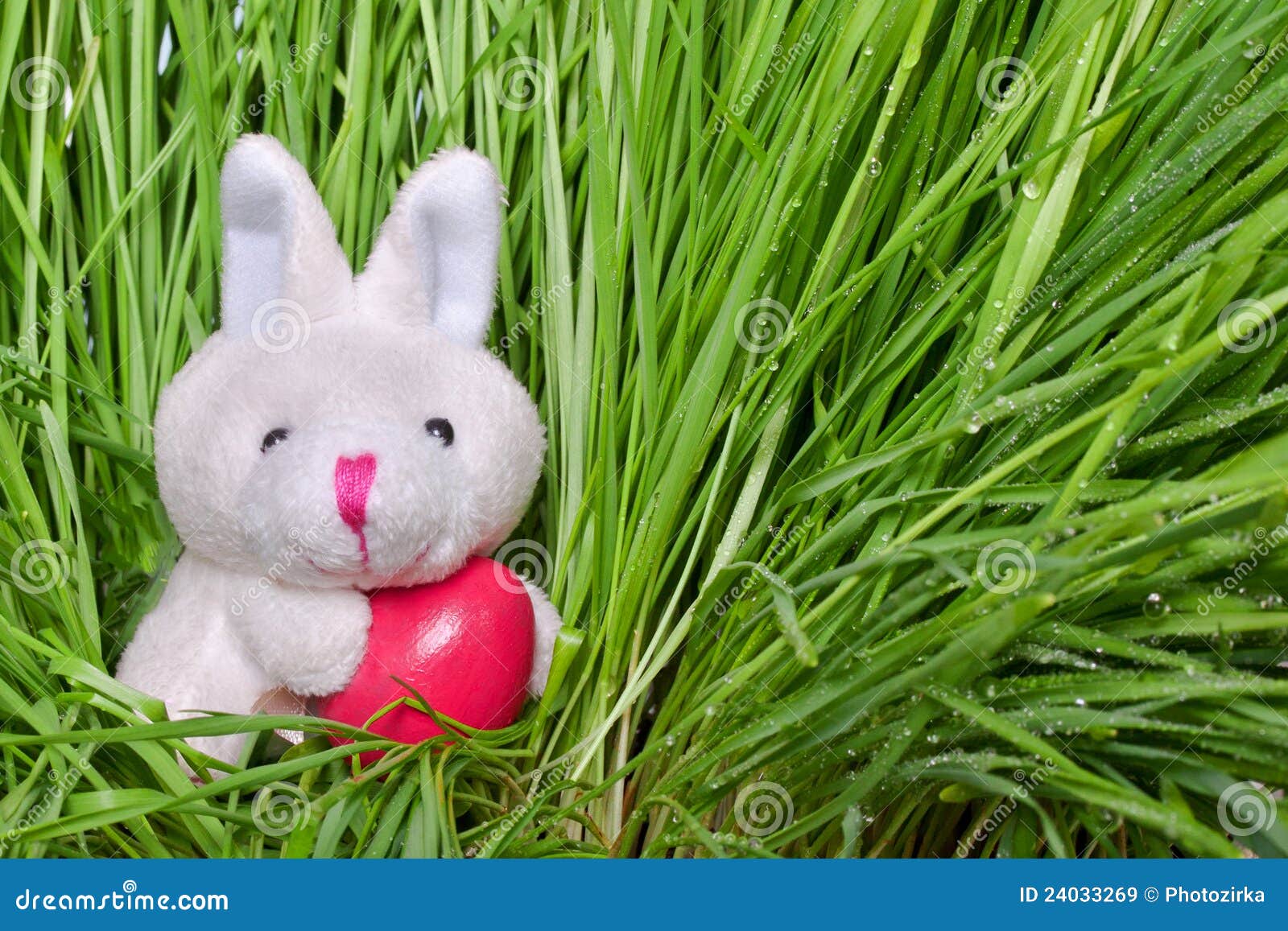 Bunny Holding an Easter Egg Stock Image - Image of drop, grass: 24033269