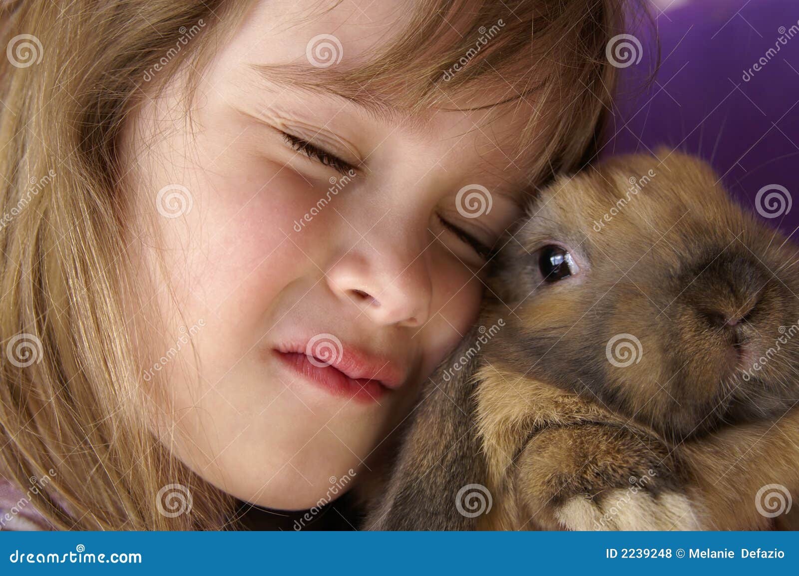 Bunny love stock photo. Image of season, animal, smile - 2239248