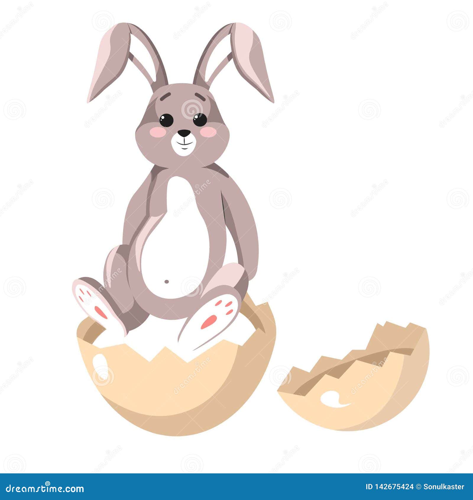 Bunny or Rabbit in Egg Shell Easter Holiday Isolated Animal Stock ...