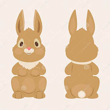 Bunny/rabbit Front and Back View Stock Vector - Illustration of farm ...