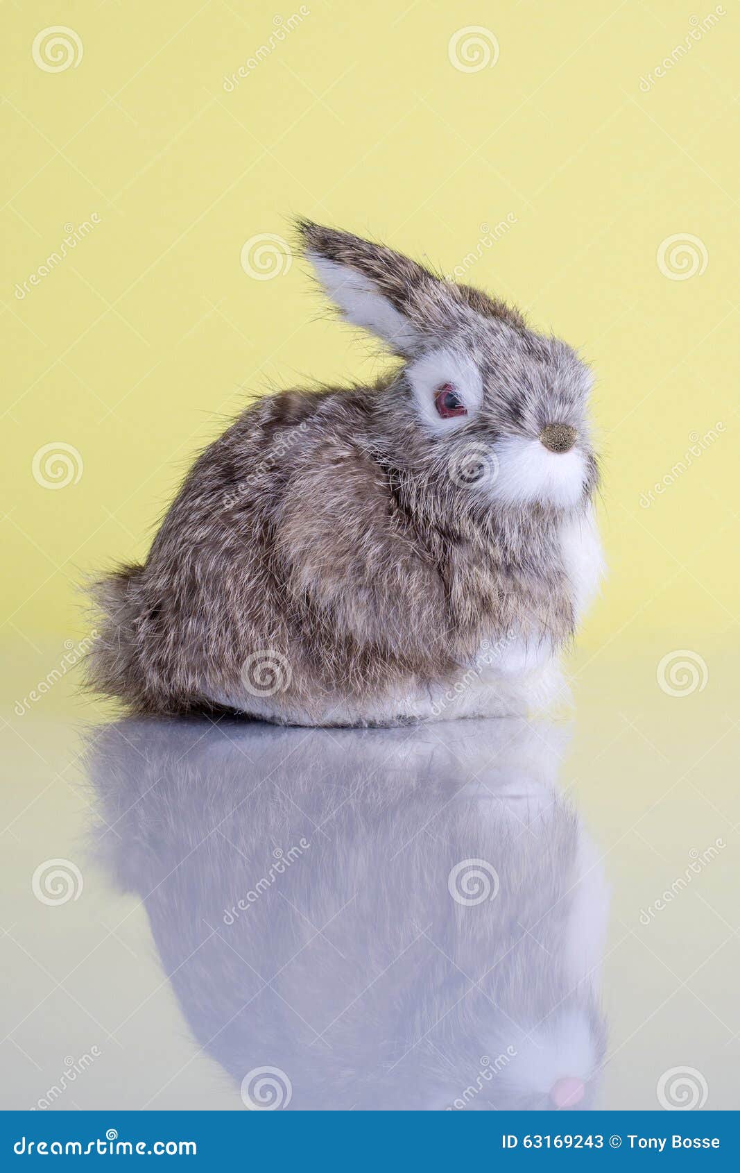 Bunny Rabbit stock image. Image of yellow, rabbit, fluff - 63169243