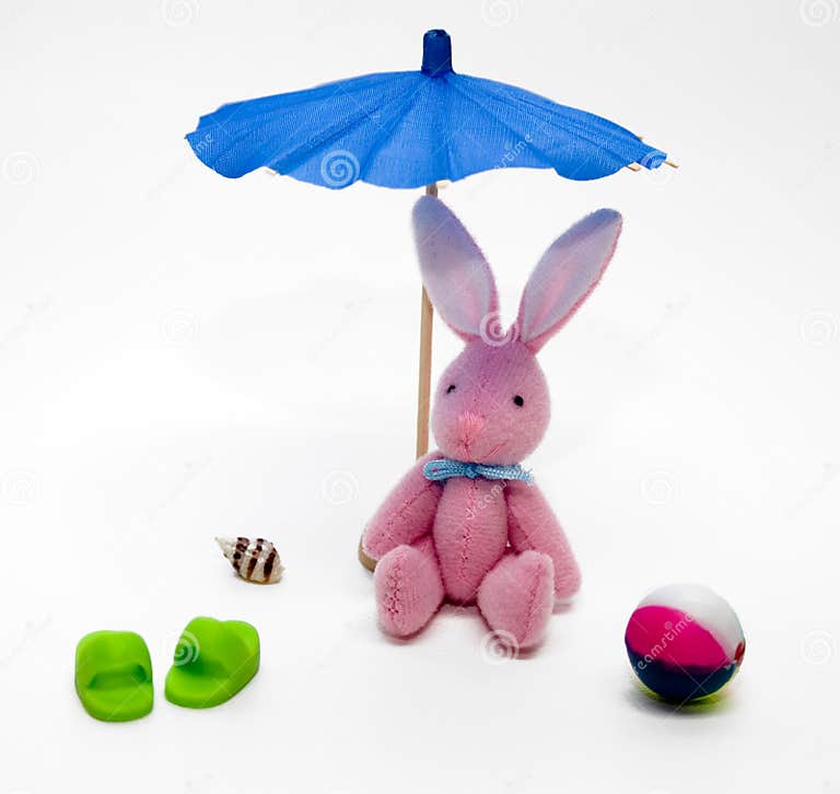 Bunny Rabbit Teddy on Beach Stock Image - Image of cuddly, closeup: 6673455