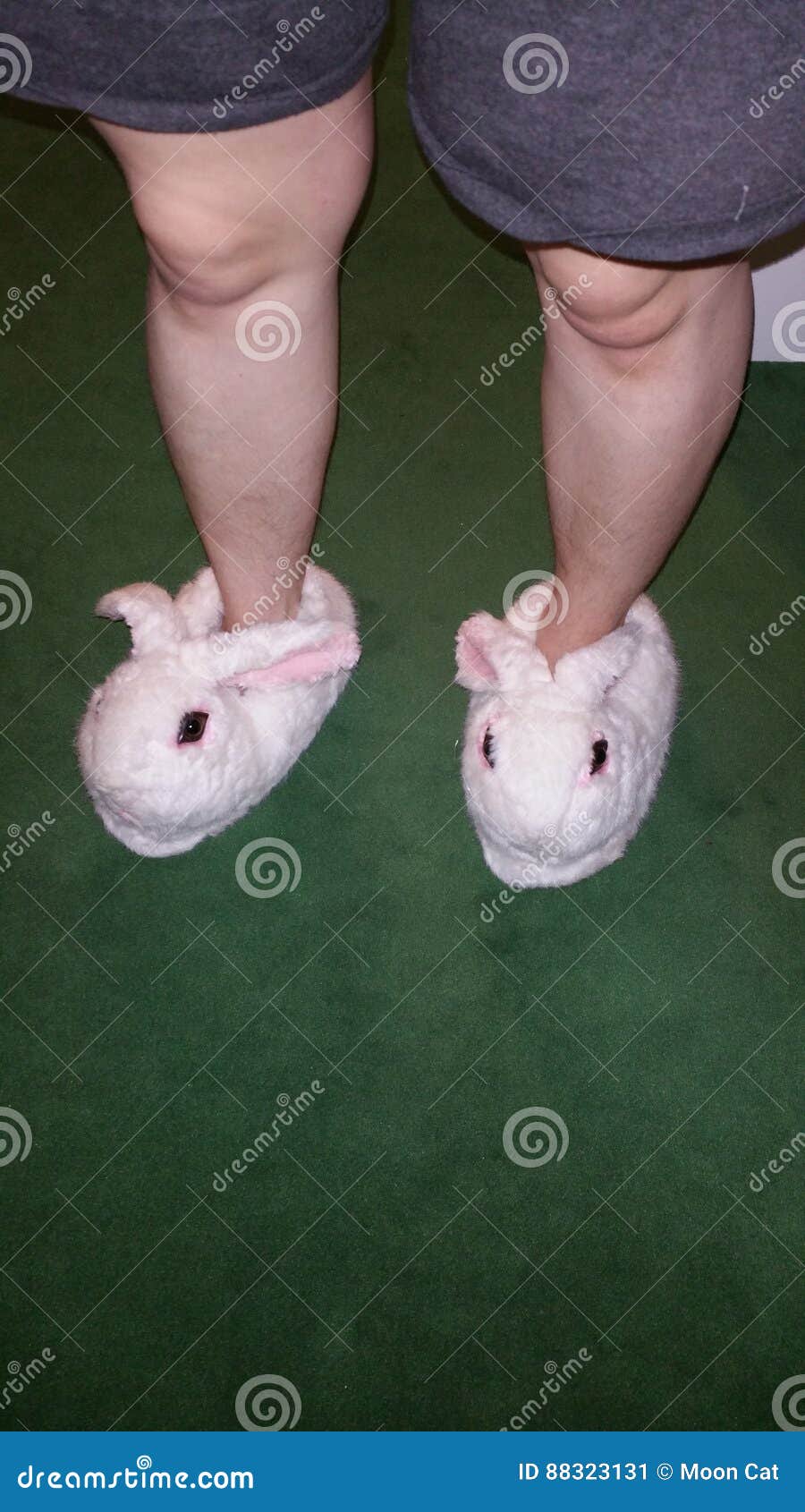 Bunny slippers stock image. Image of silly, bunny, cute - 88323131