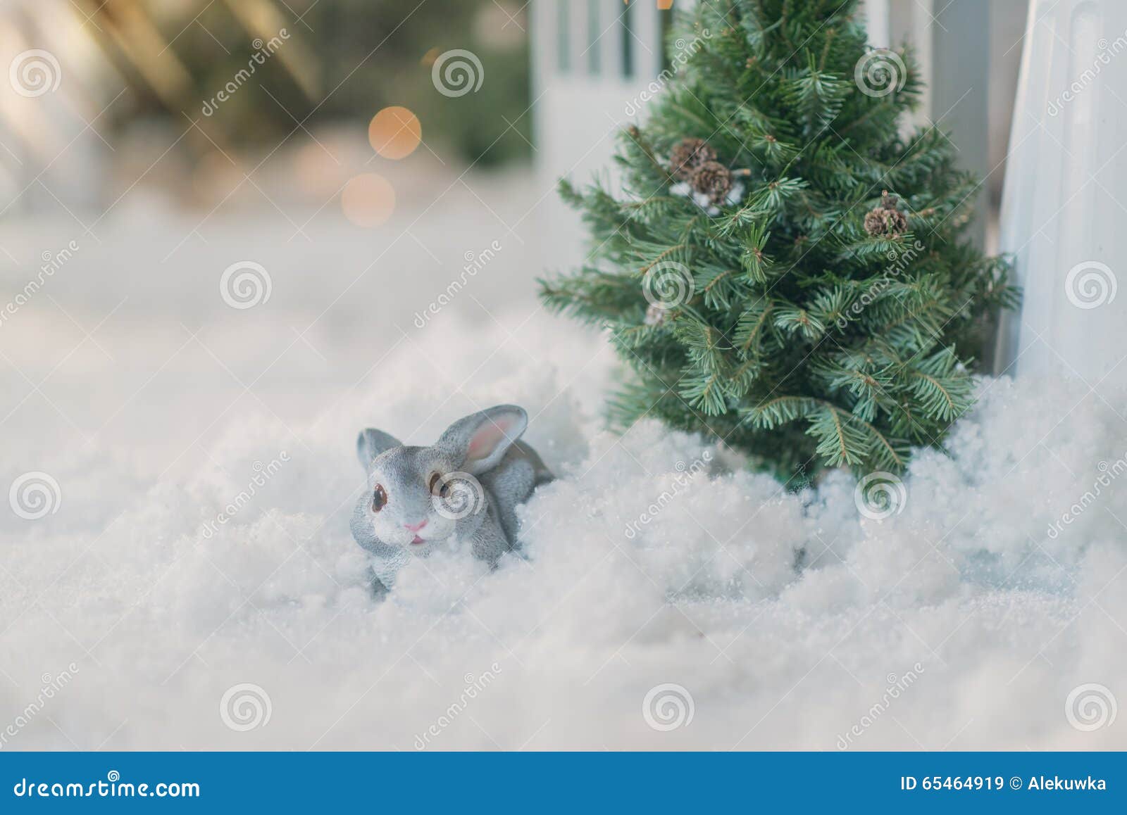 Bunny Under the Tree in the Snow Stock Image - Image of meadow, cone ...