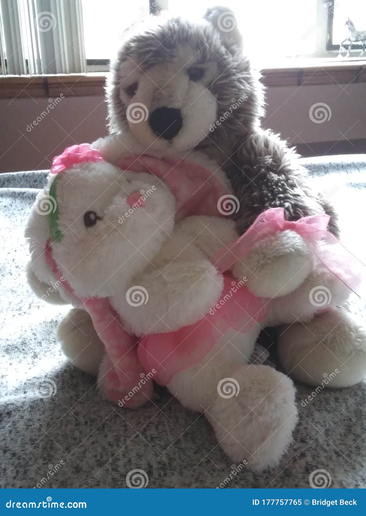 Bunny and a wolf in love stock image. Image of love - 177757765