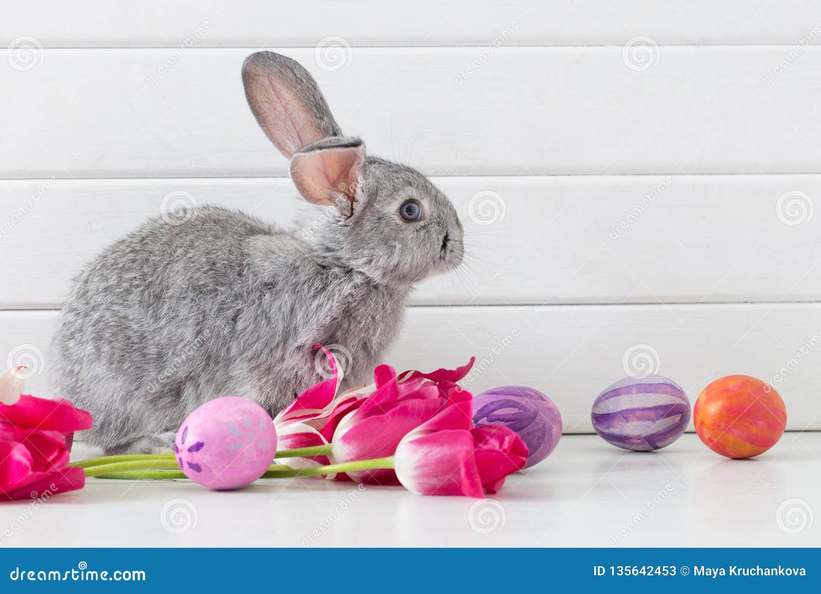 Bunny and Pink Tulips on White Background Stock Image - Image of rabbit ...