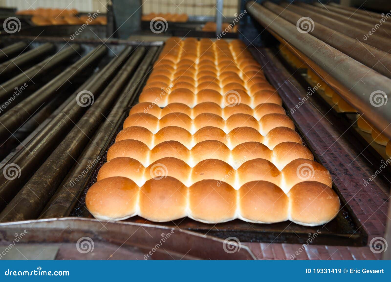 Buns of Bread in the Factory Stock Image - Image of loafs, preparing ...
