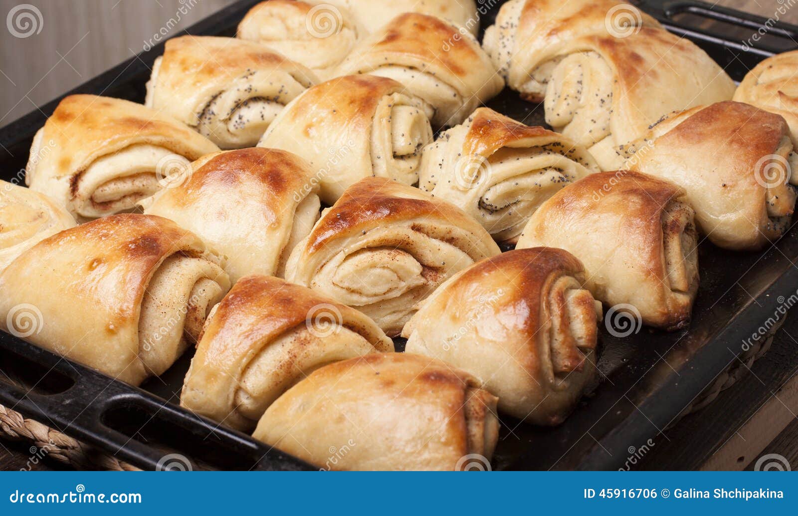 Sea Shell In The Twisted Basket Stock Photo | CartoonDealer.com #23323080