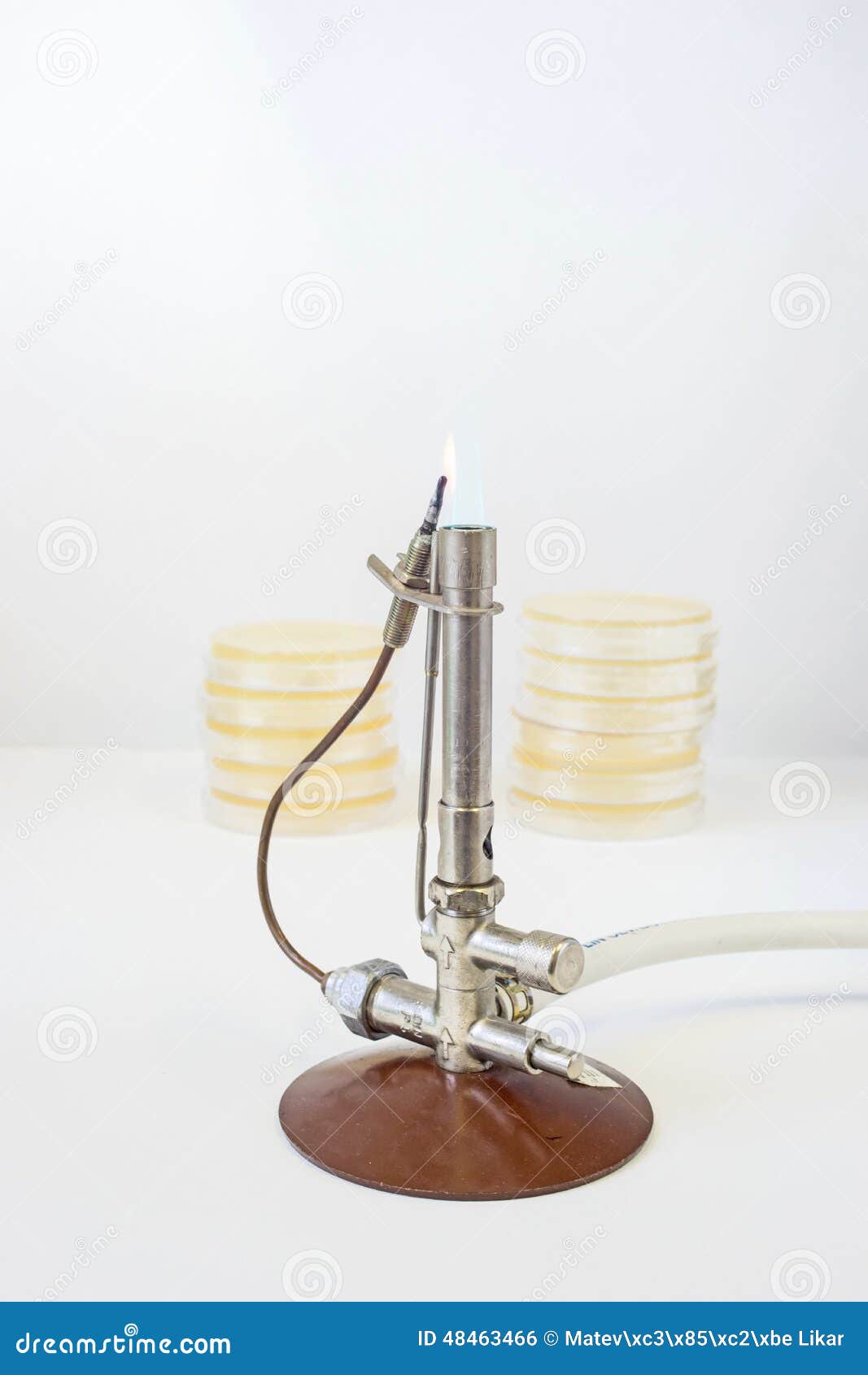 Bunsenbrander Met Petrischalen Stock Foto - Image of biologie ...