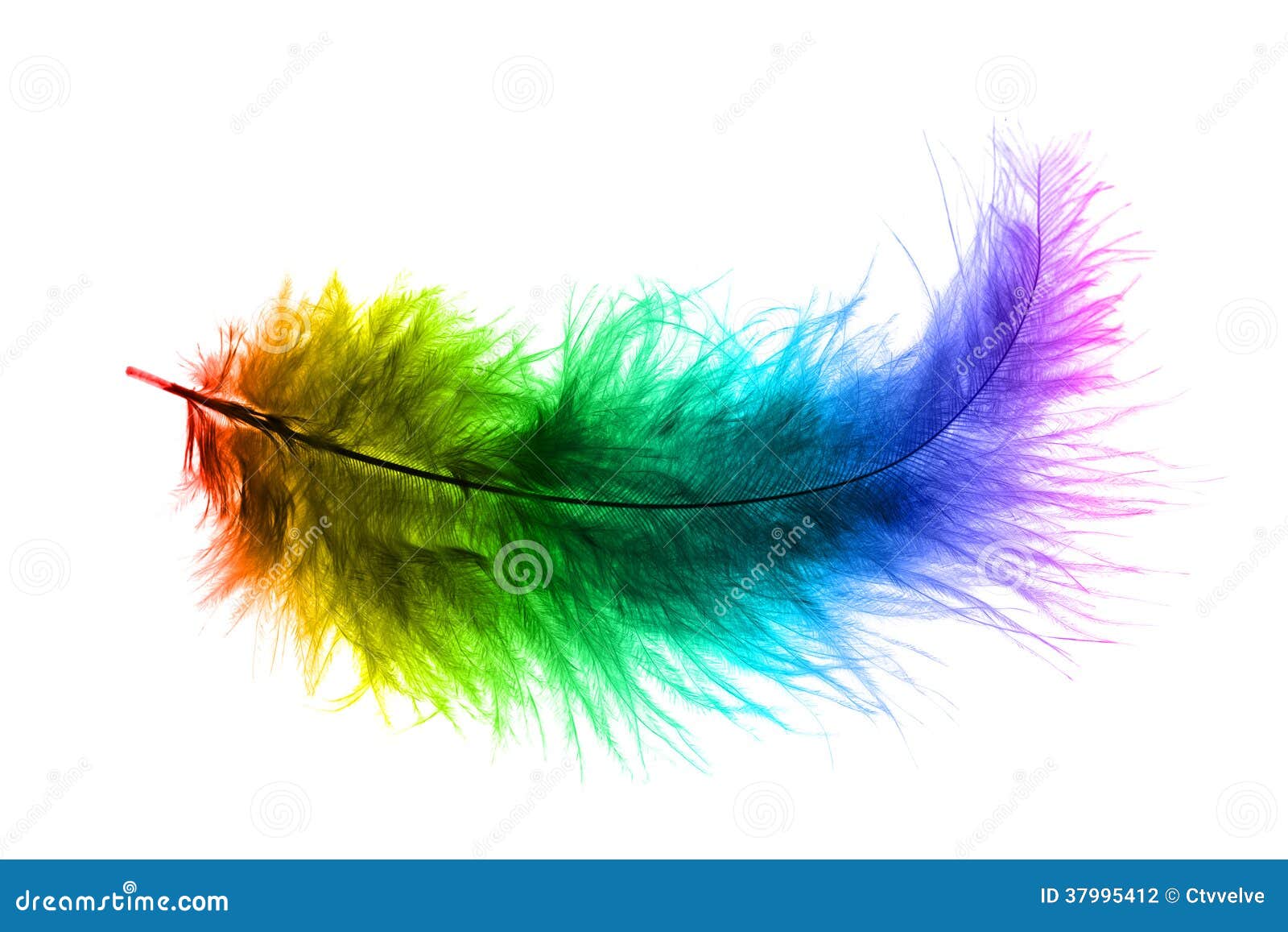 Bunte Feder stockfoto. Bild von tier, spule, schwarzes - 37995412