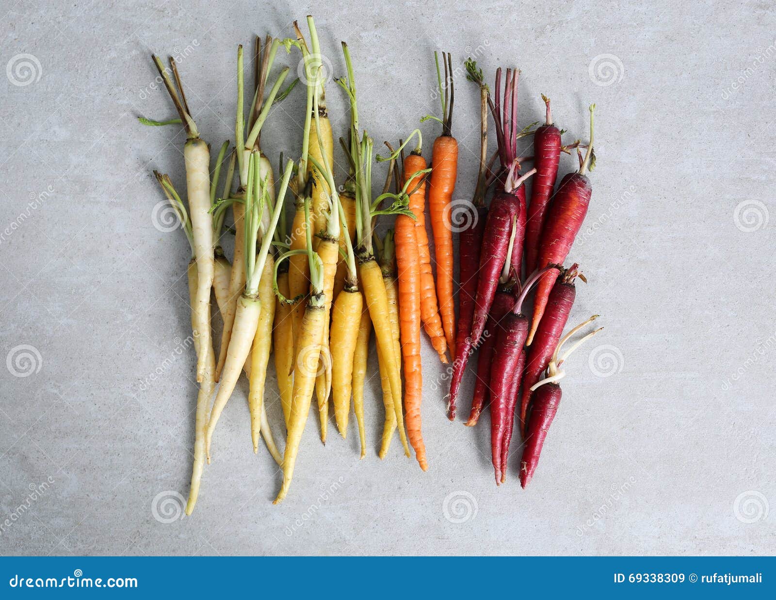 Bunte Karotten stockbild. Bild von garten, frech, knusprig - 69338309