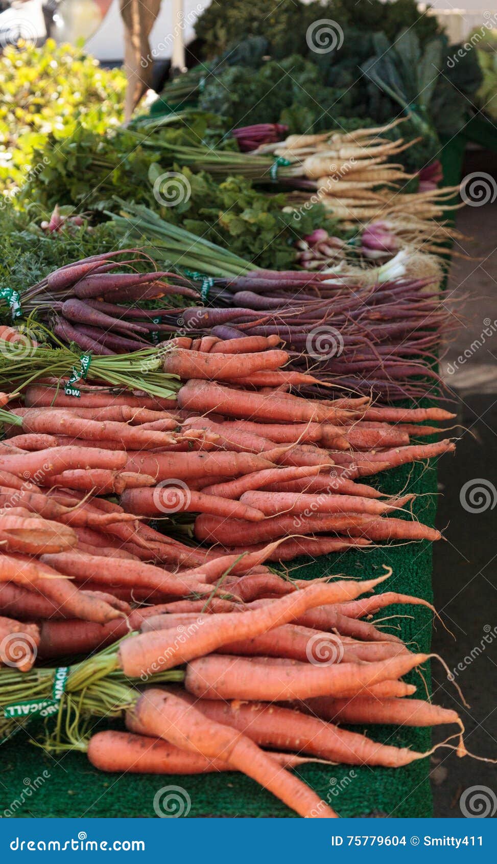 Bunte Karotten stockfoto. Bild von landwirte, nahrung - 75779604