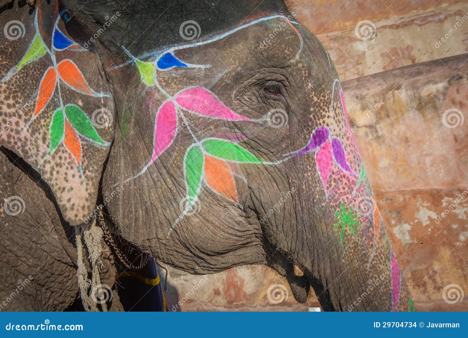 Bunter Elefant in Jaipur, Rajasthan, Indien Stockfoto - Bild von fort ...