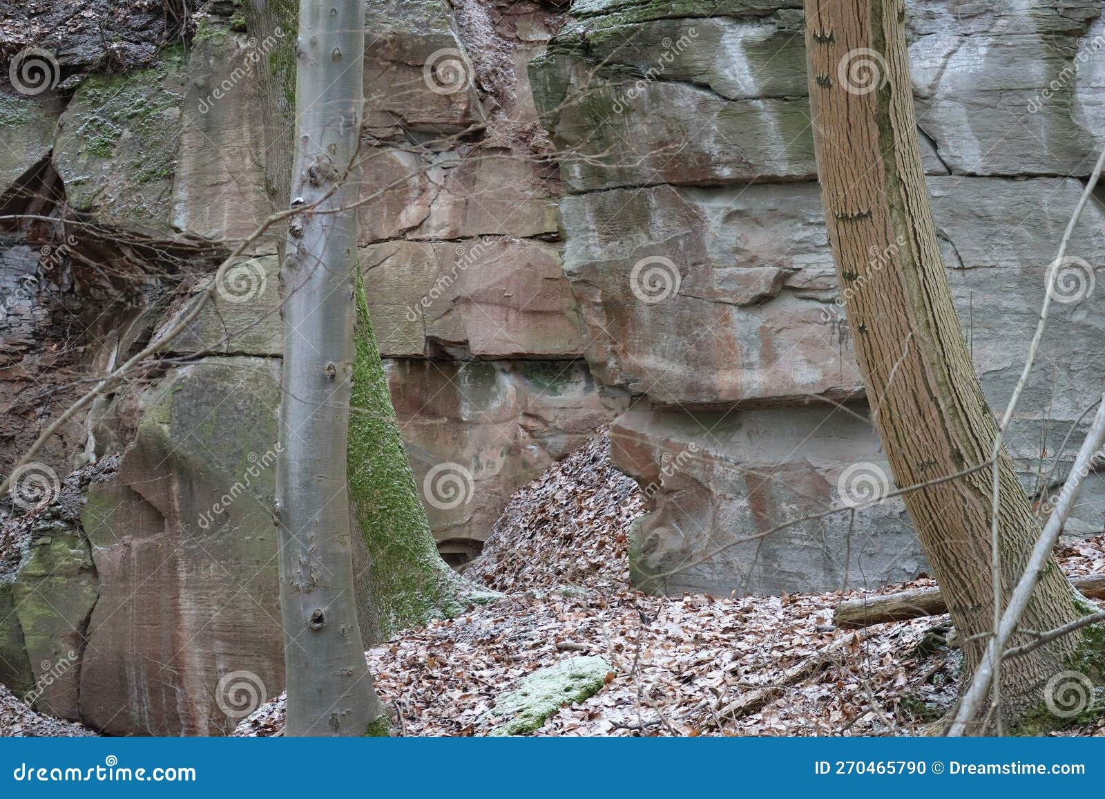 Bunter Sandstone in the Forest Stock Photo - Image of sandstone, trees ...