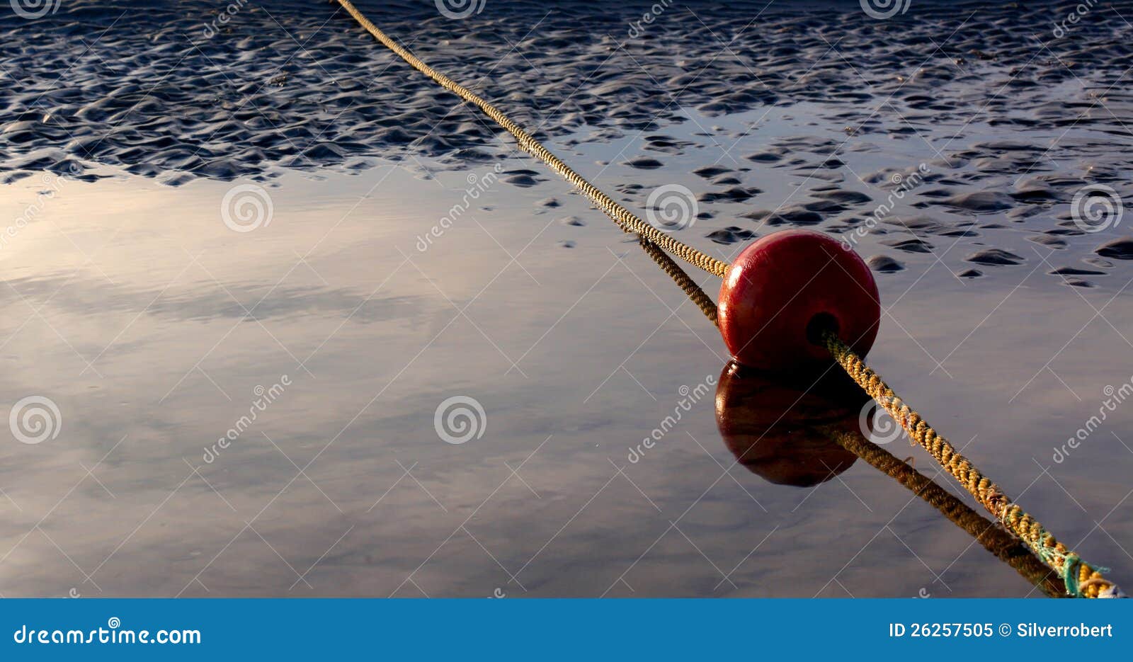 The Buoy stock image. Image of holiday, ocean, lifeguard - 26257505