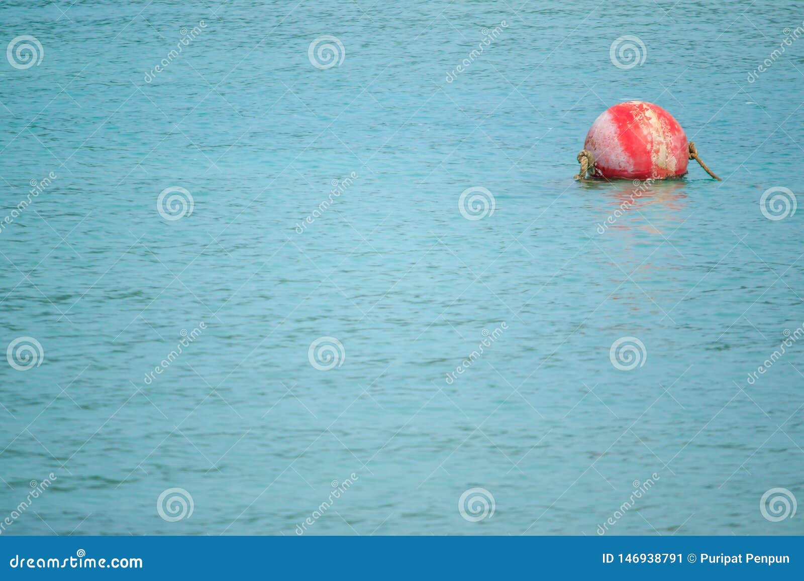 Buoy floating in the sea stock image. Image of blue - 146938791