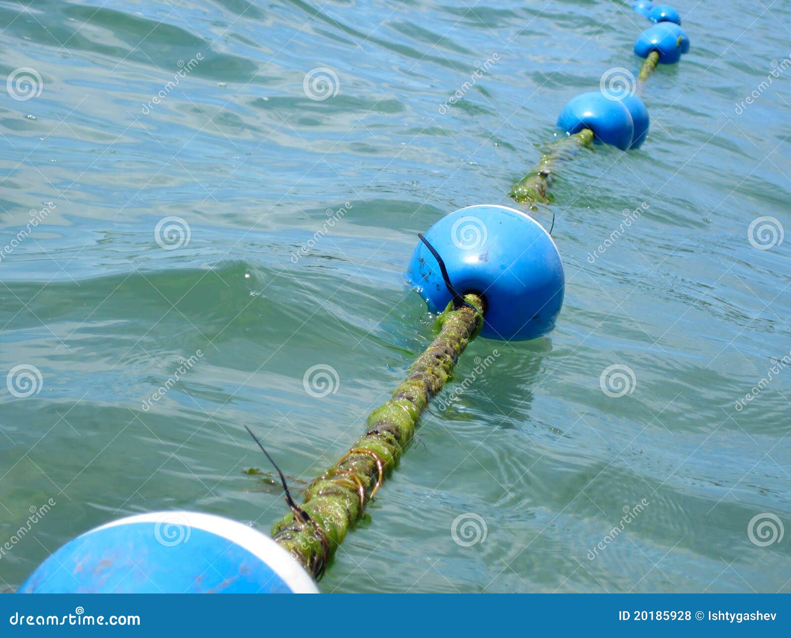 Buoy Floats stock photo. Image of blue, clear, rope, color - 20185928