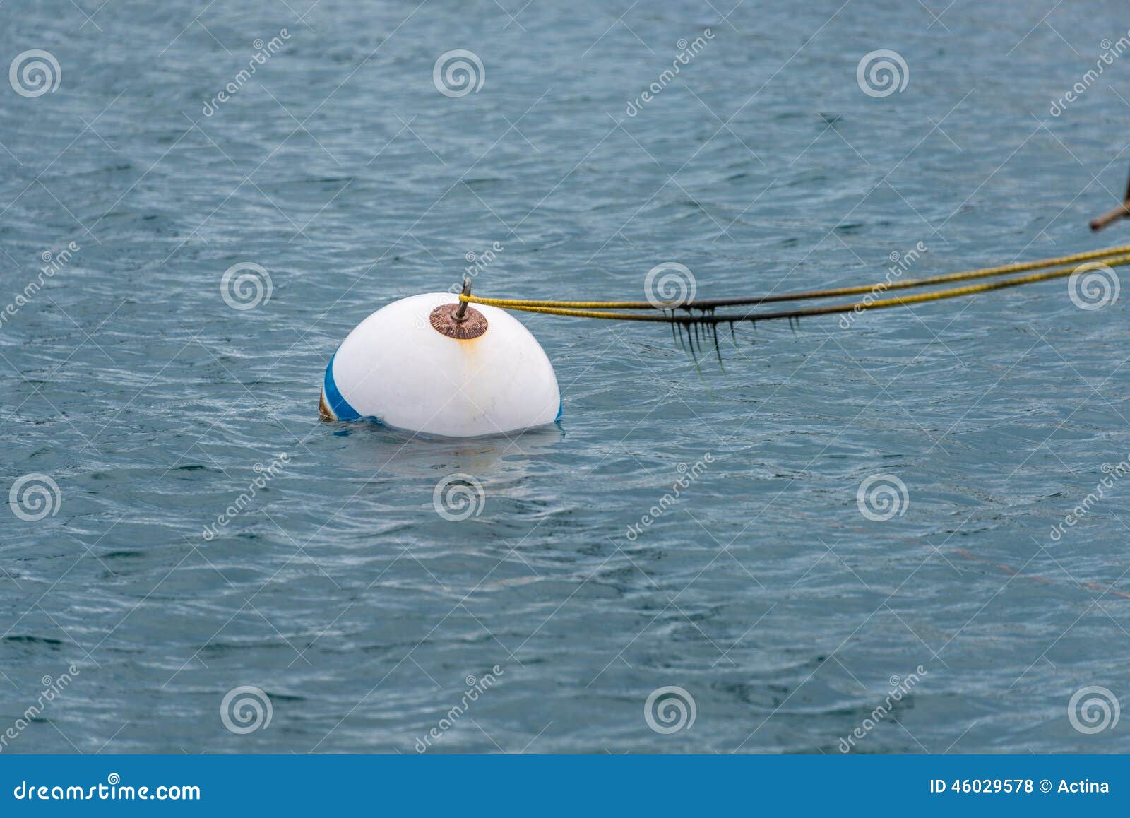 Buoy in ocean stock photo. Image of attached, outdoor - 46029578
