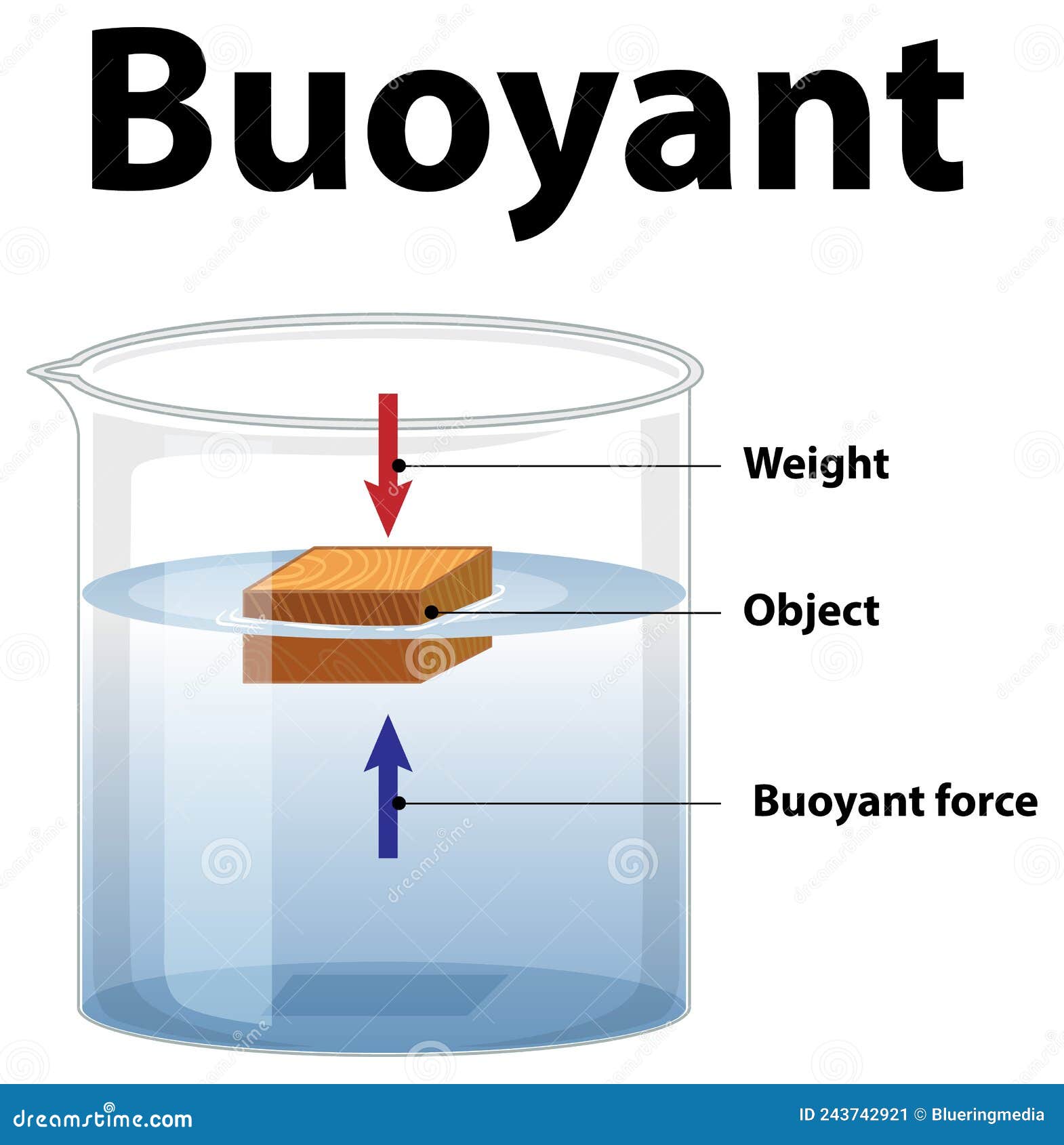 Buoyant Force Infographic Diagram Showing How Ship Float On Water ...