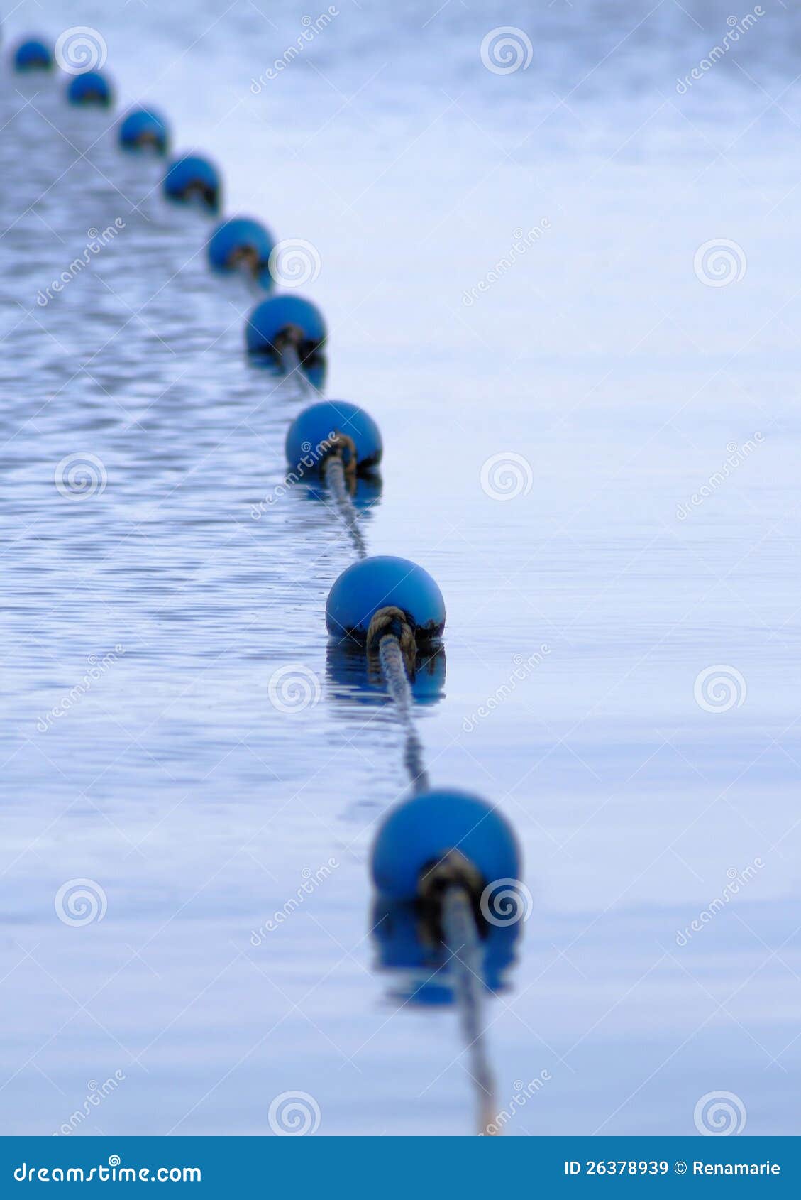 Buoys Along Water stock image. Image of summertime, swimming - 26378939