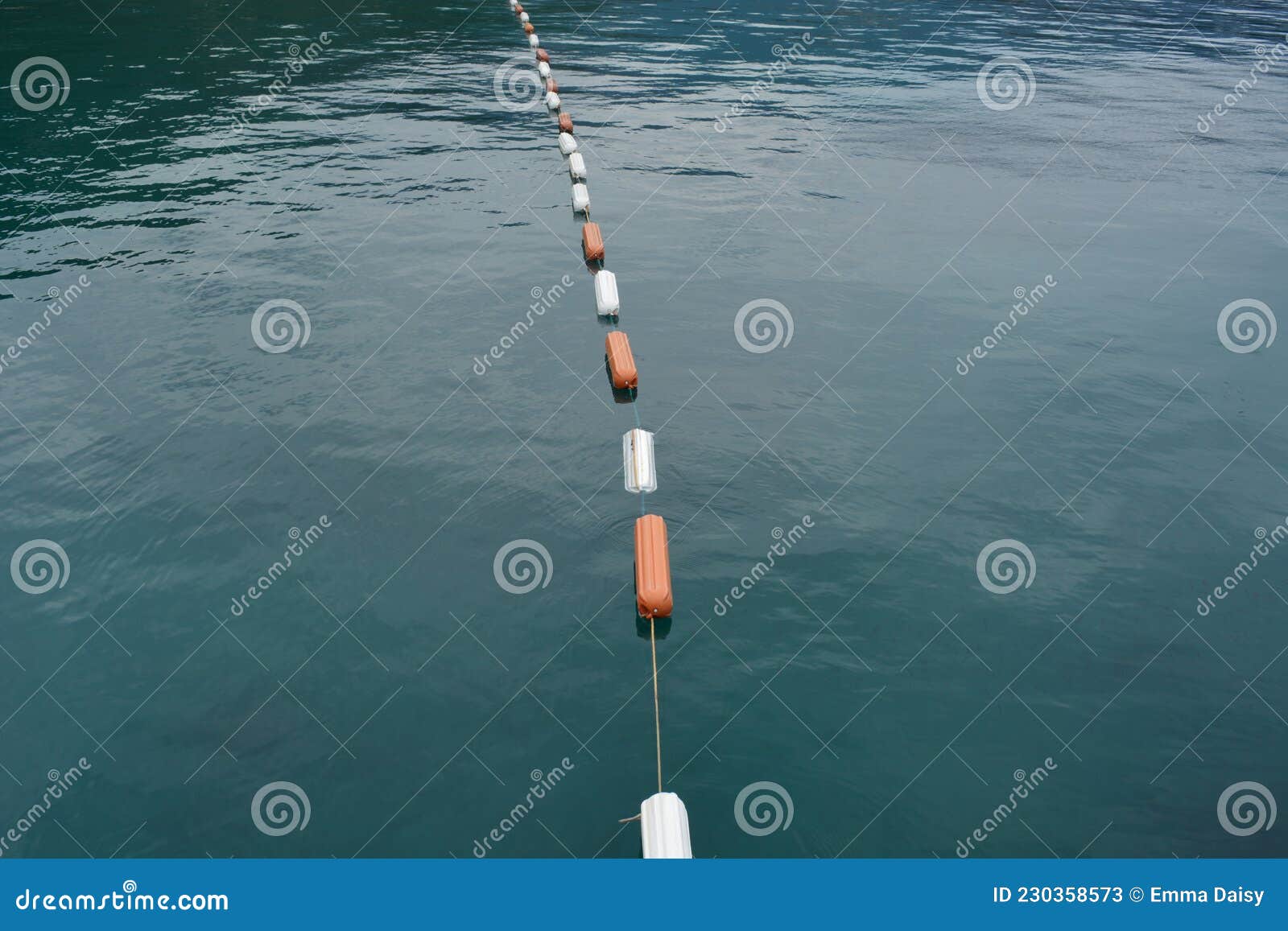 Buoys in water stock image. Image of still, calmsea - 230358573