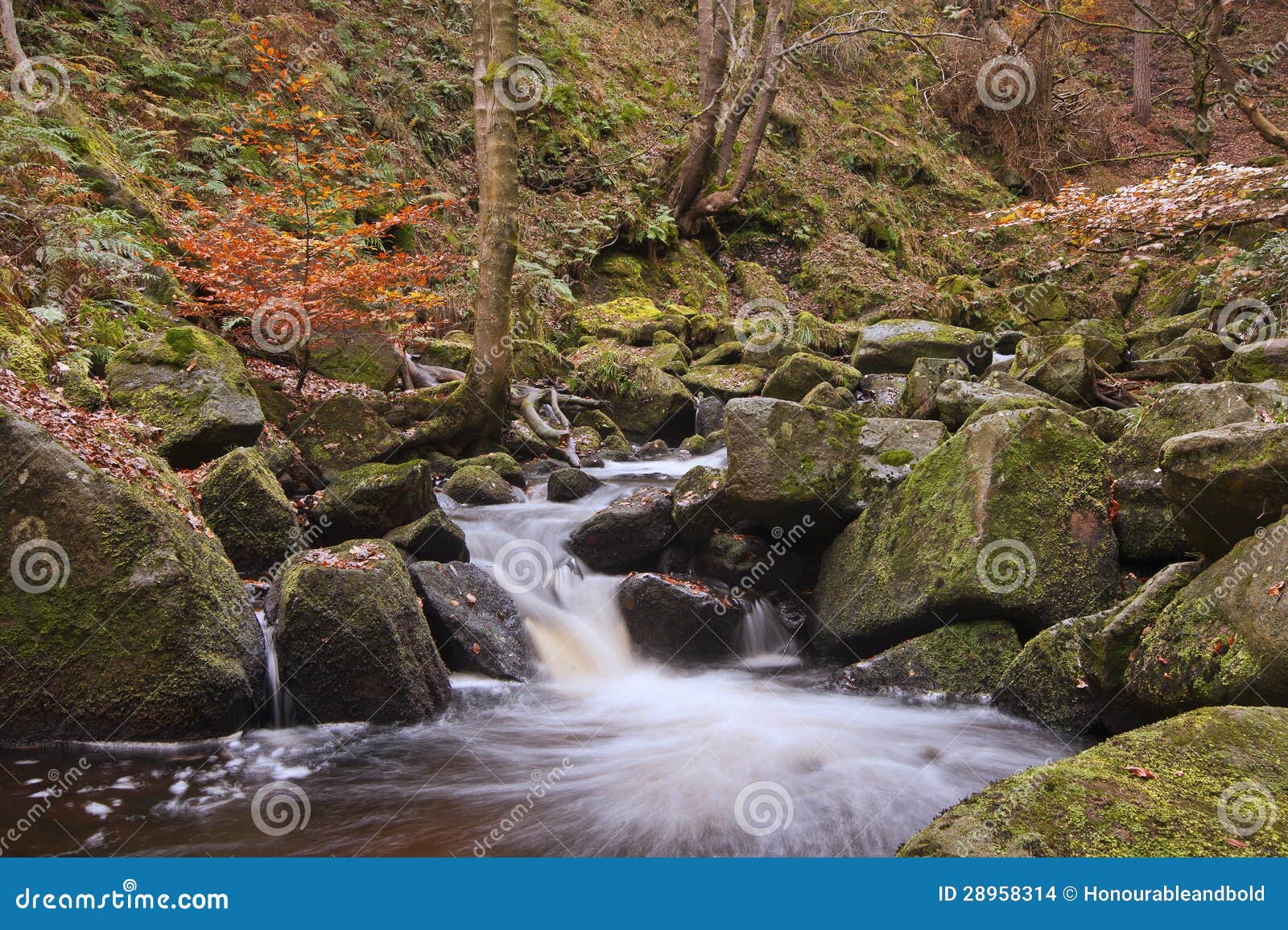 Burbage Brook Flowing through Padley Gorge in Peak District Stock Photo ...