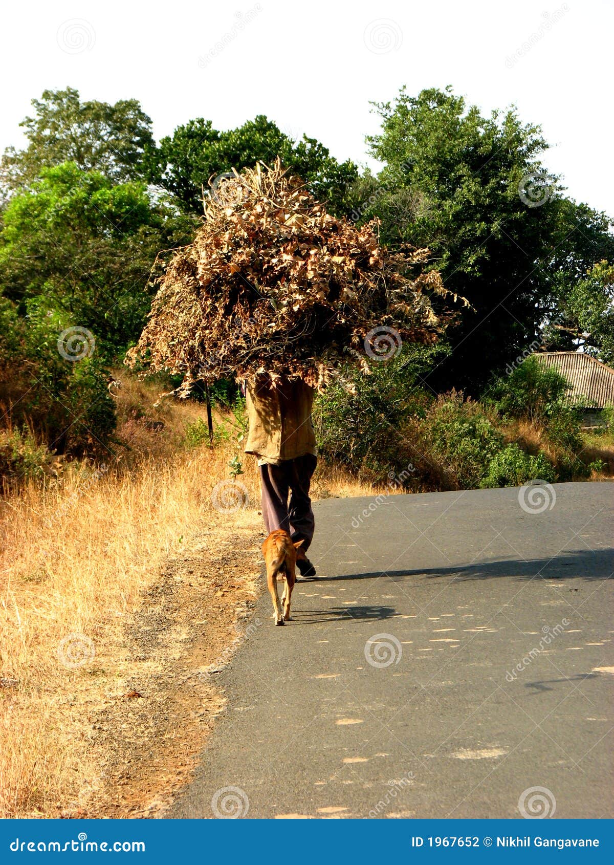 Burdened Partner stock photo. Image of heavy, follower - 1967652