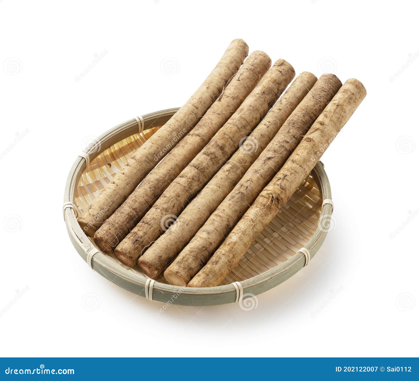 Burdock on a White Background Stock Image - Image of greater, chinese ...