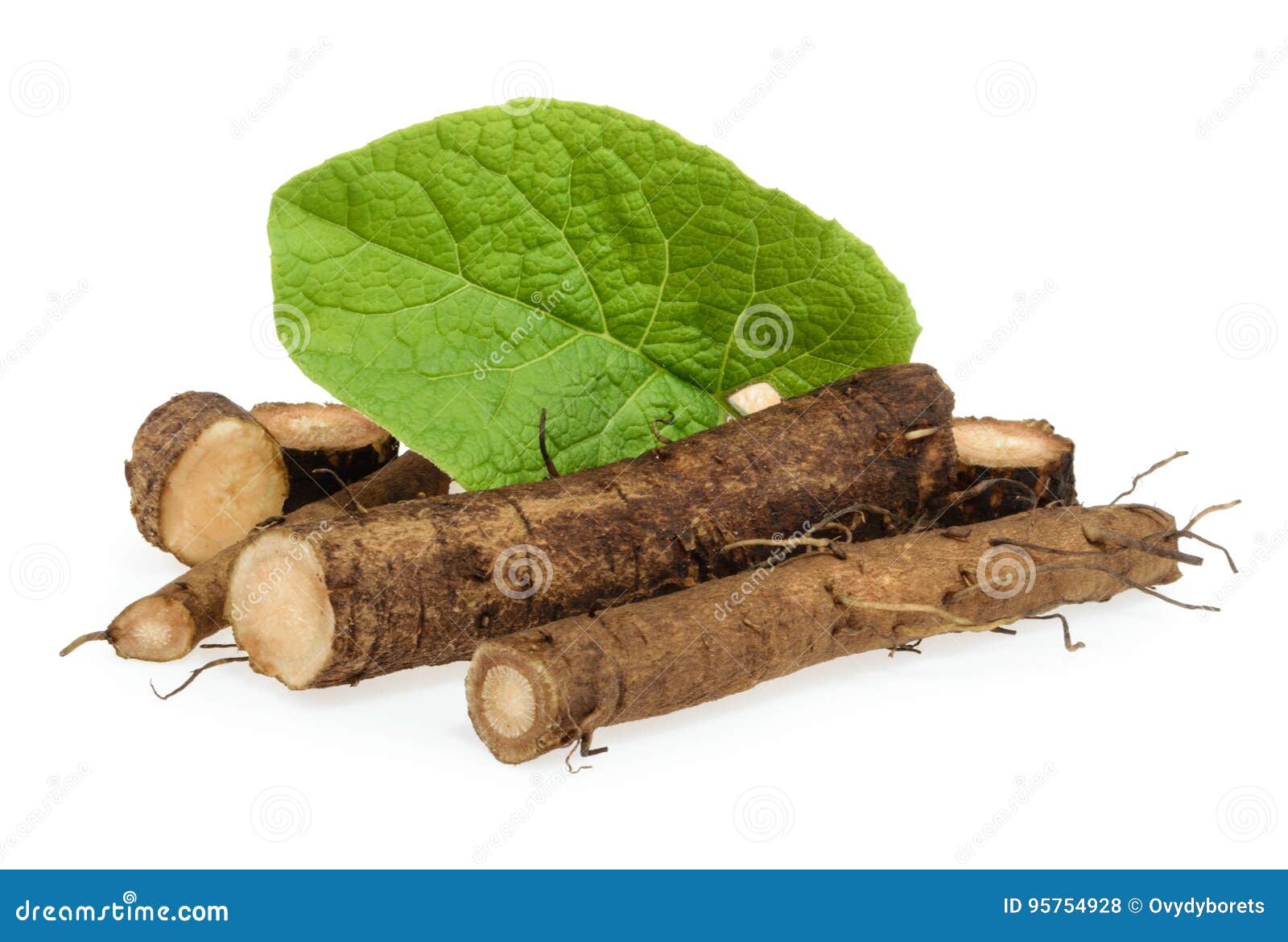 Burdock Roots Isolated on White Background Stock Photo - Image of view ...