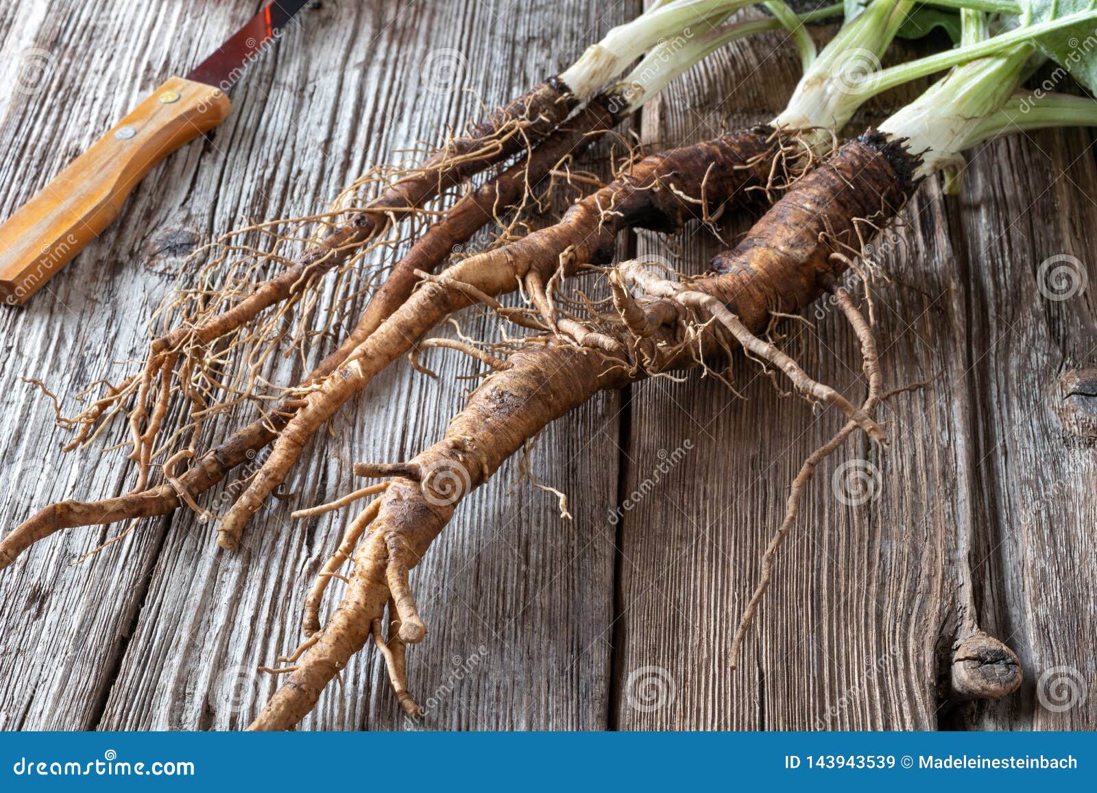 Burdock roots on a table stock image. Image of table - 143943539